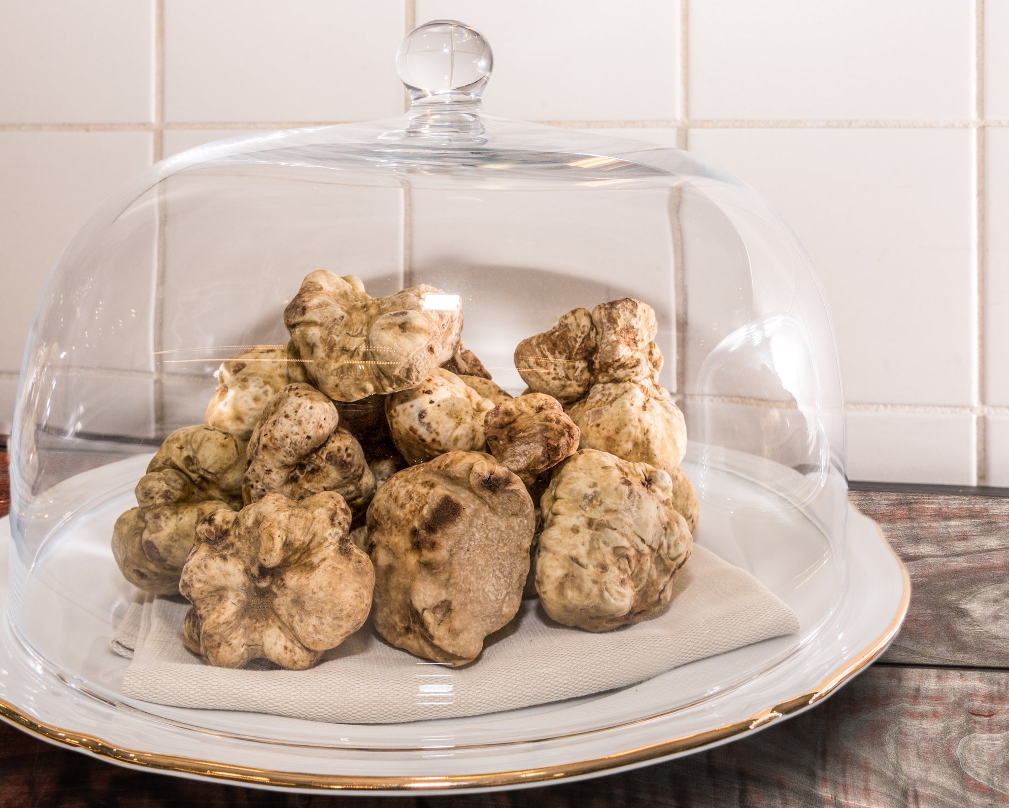 The unique characteristics of the White Truffle